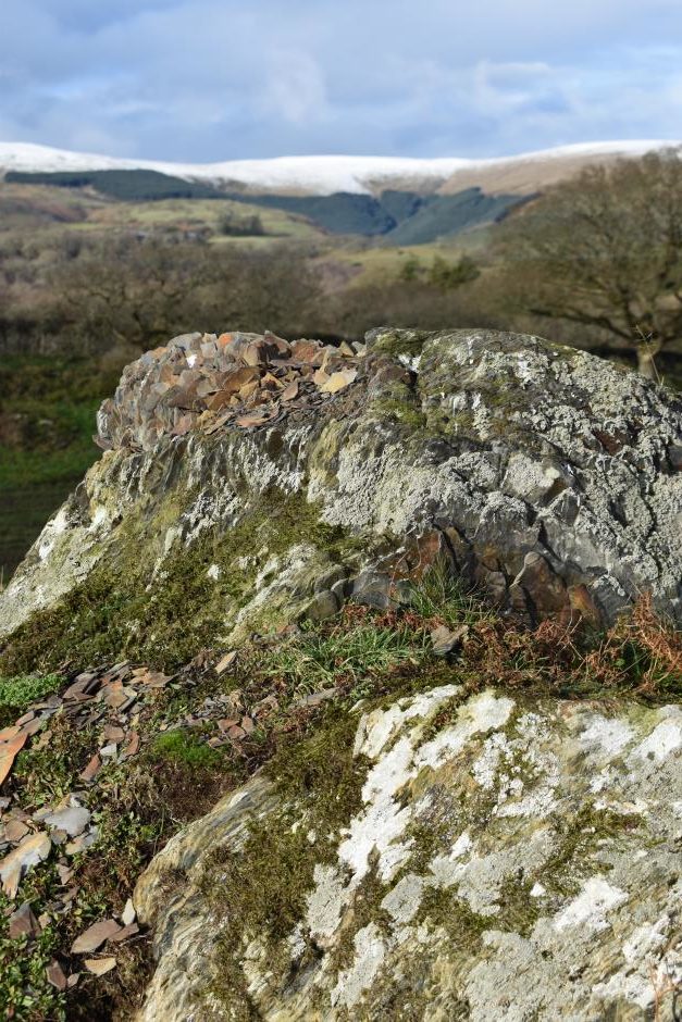 Newsletter 13: Sensing change - Visit Pennal | Ymweld â Pennal